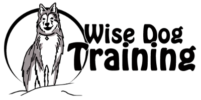 Wise Dog Training – Wise Training for Wonderful Dogs