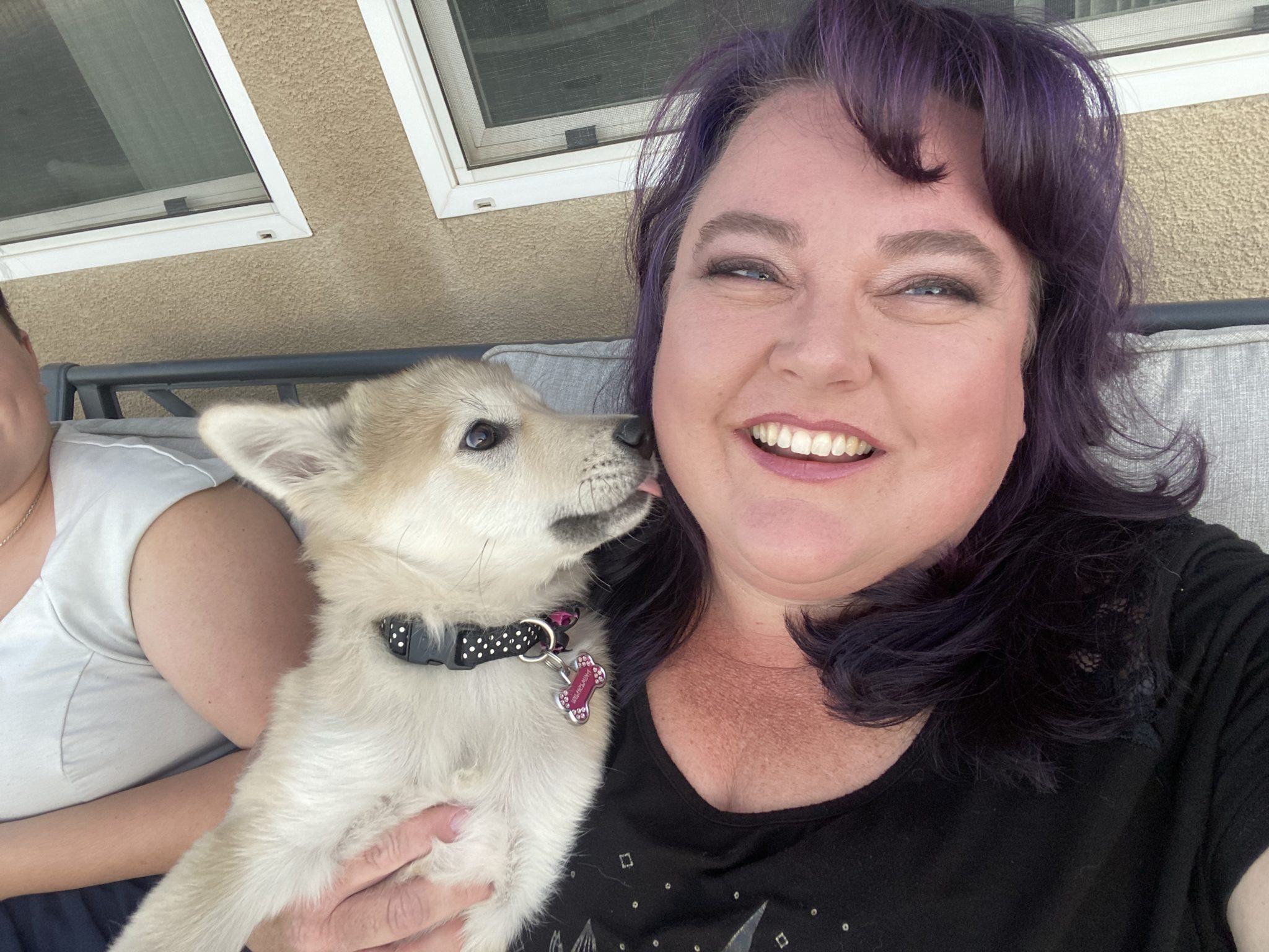 About - Wise Dog Training