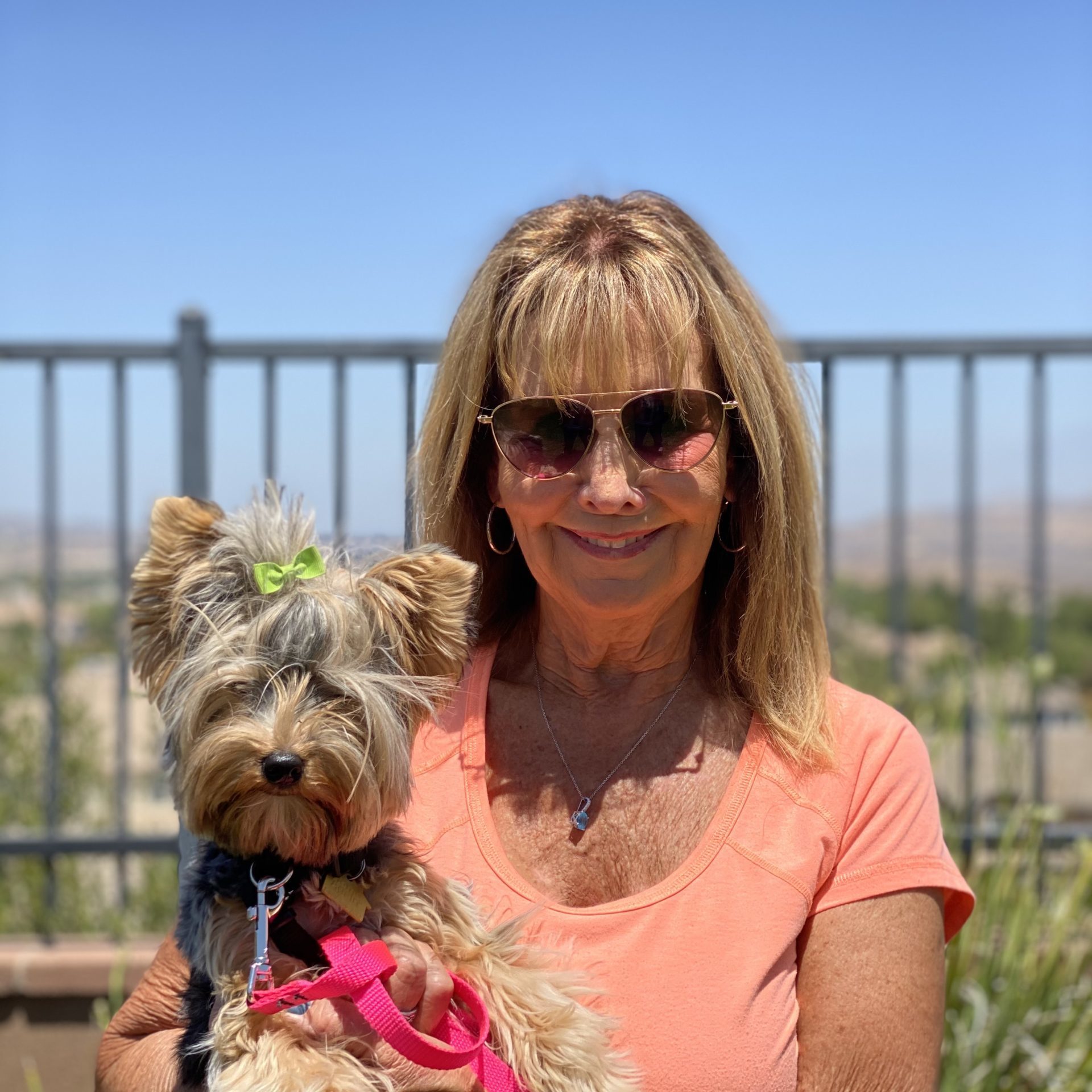 Graduate Gallery – Wise Dog Training